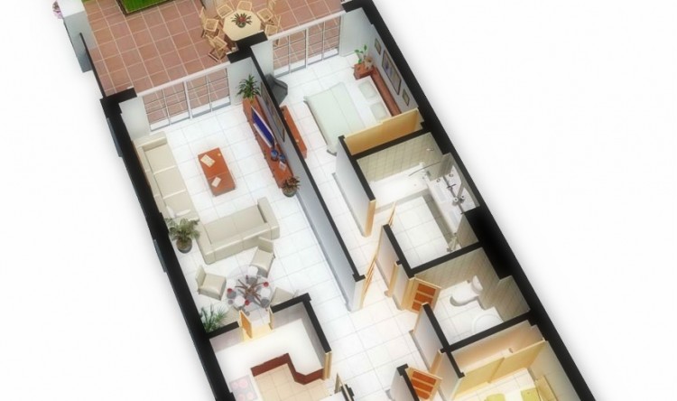 Plantas color | infografia Delcad